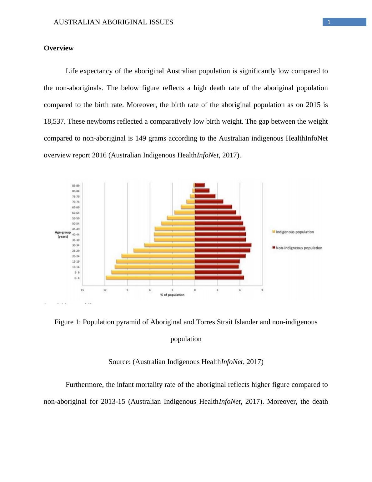 University Report: Australian Aboriginal Issues Overview