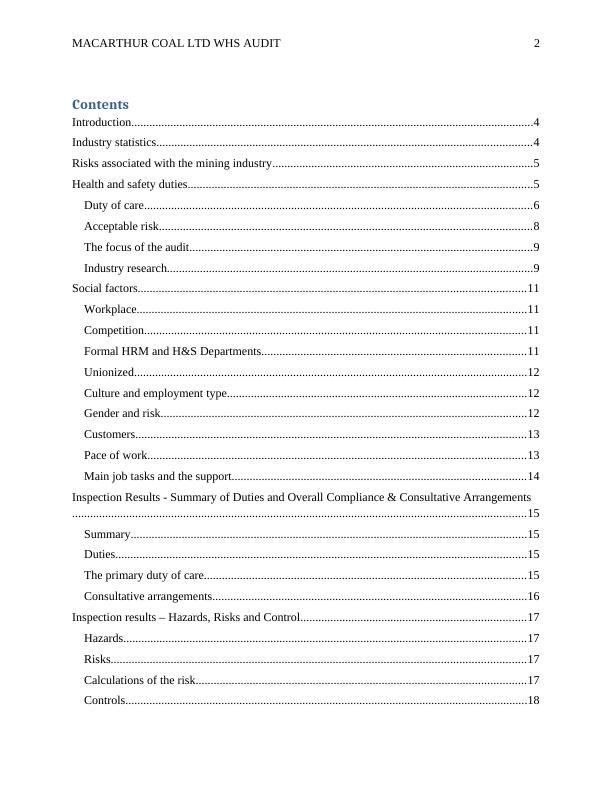 Macarthur Coal Ltd WHS Audit: Risk Assessment Report