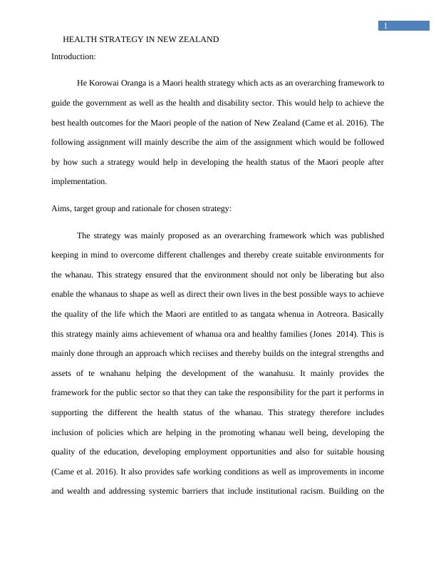 Analyzing Maori Health: The He Korowai Oranga Strategy