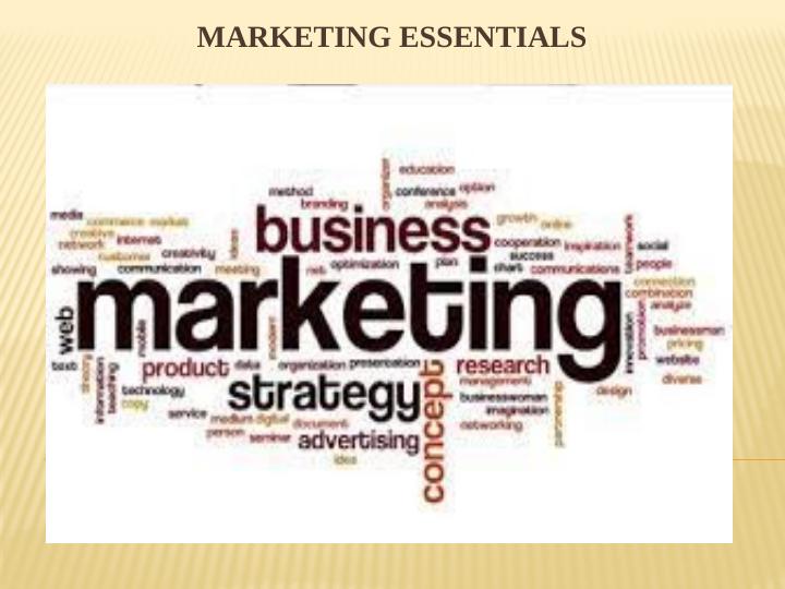 Marketing Essentials: Roles, Responsibilities, and Comparison between Two Companies