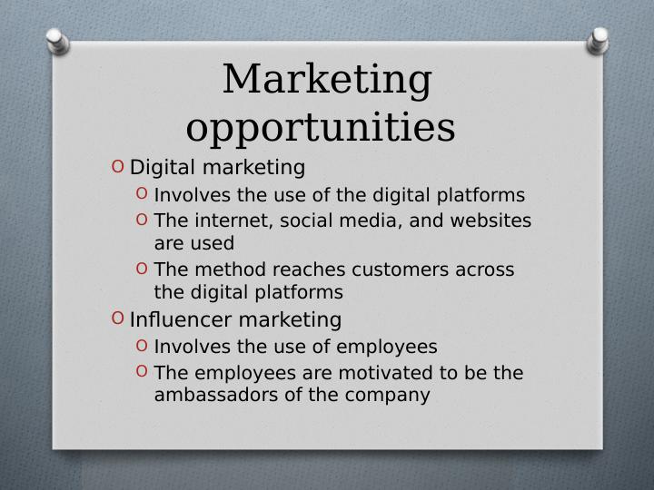 Marketing Opportunities: Digital Marketing and Influencer Marketing