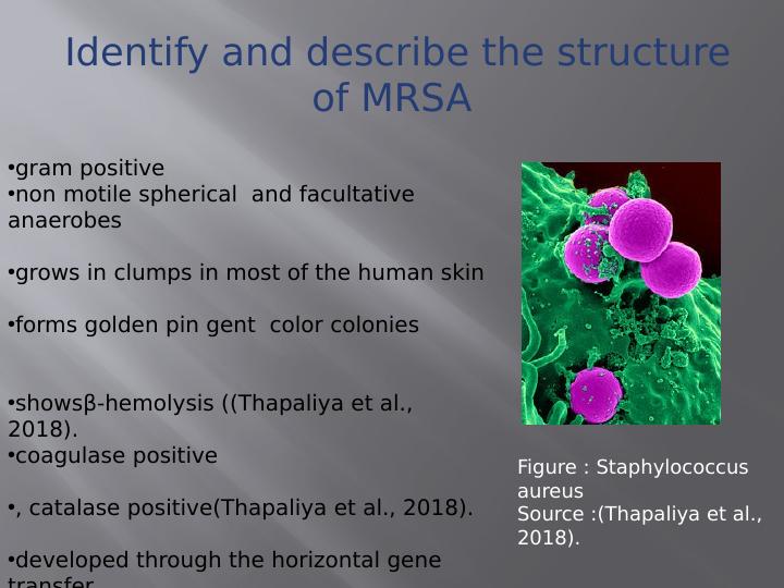 MRSA Microbiology: Analyzing Infection Risks & Management