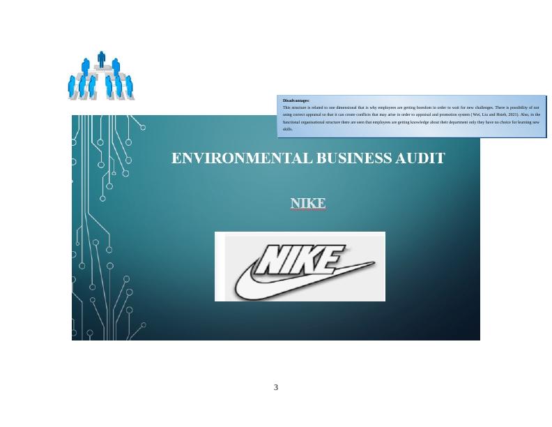 Industry Analysis Factsheets and Environmental Business Audit of Nike