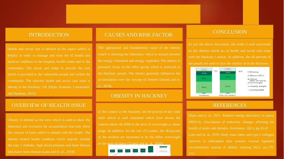 Obesity in Hackney: Current Health and Social Care Provision