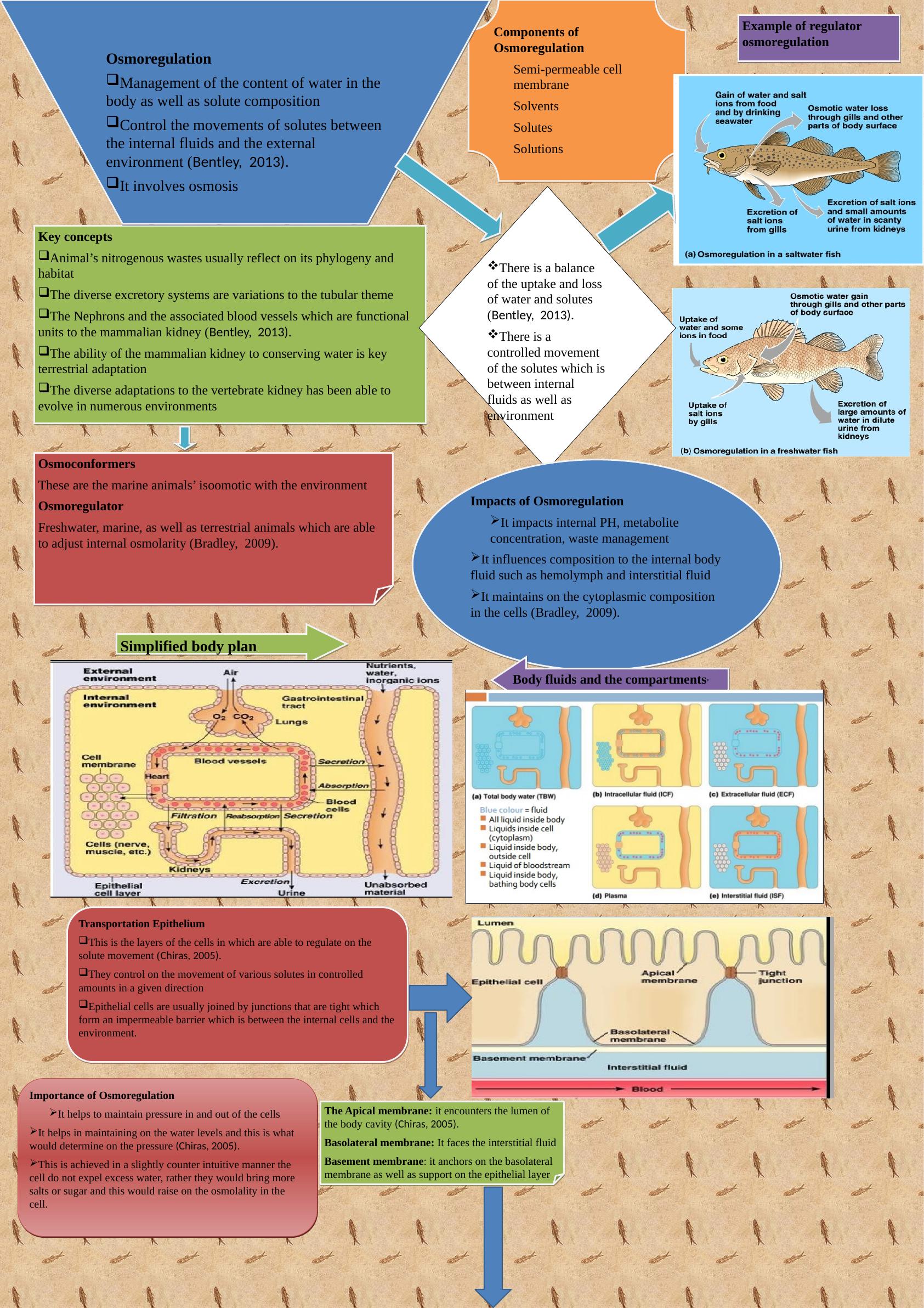 Osmoregulation: Management of Water and Solute Composition in Animals