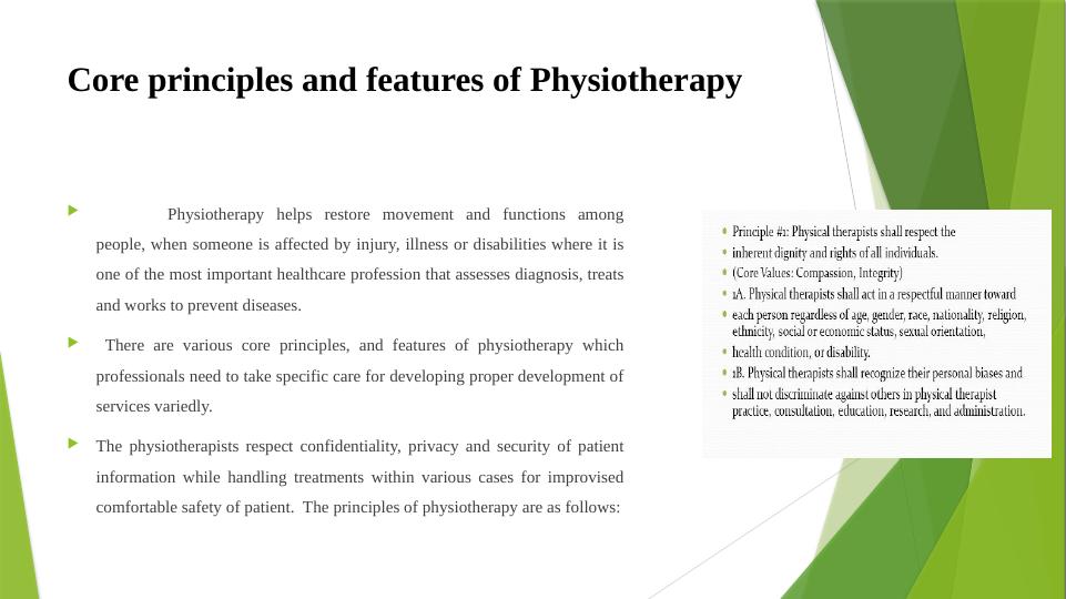 Physiotherapy Core Principles and Features for Healthcare Professionals