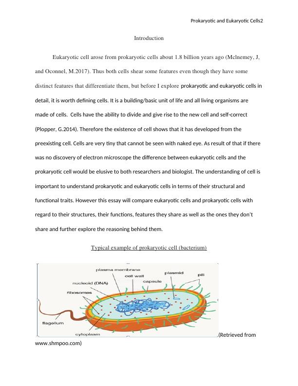 Comparison of Prokaryotic and Eukaryotic Cells - Desklib