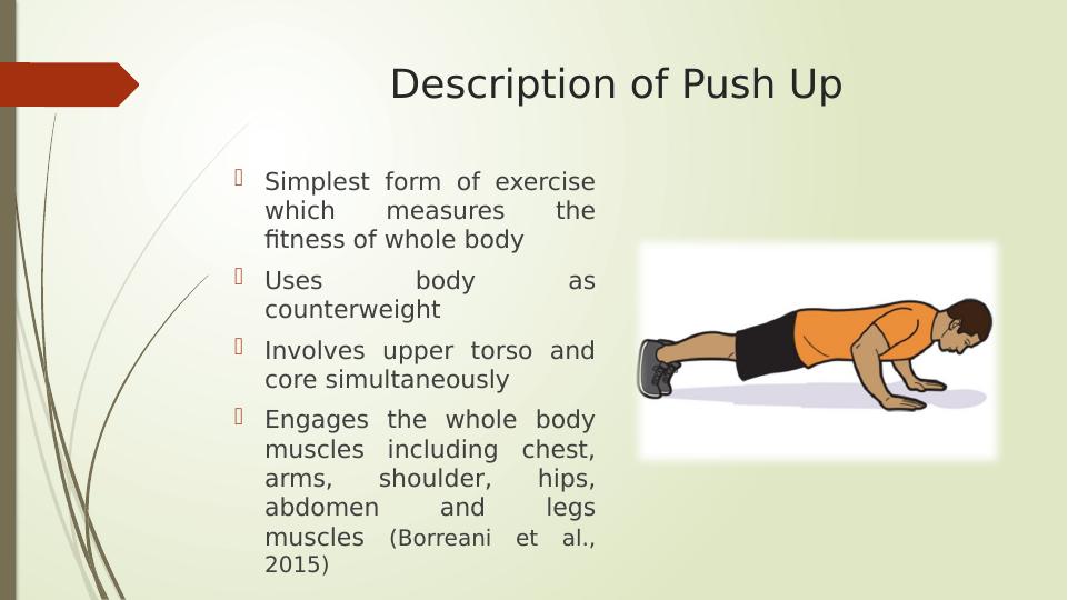 Push-Up Exercise: Functional Anatomy and Variations