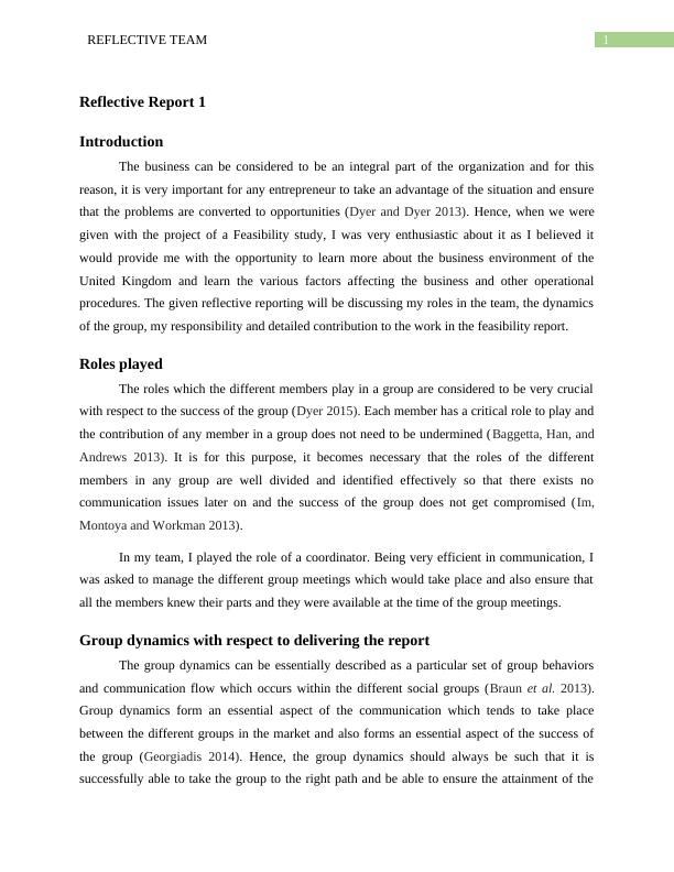 Reflective Report on Team Dynamics and Contributions in a Feasibility Study