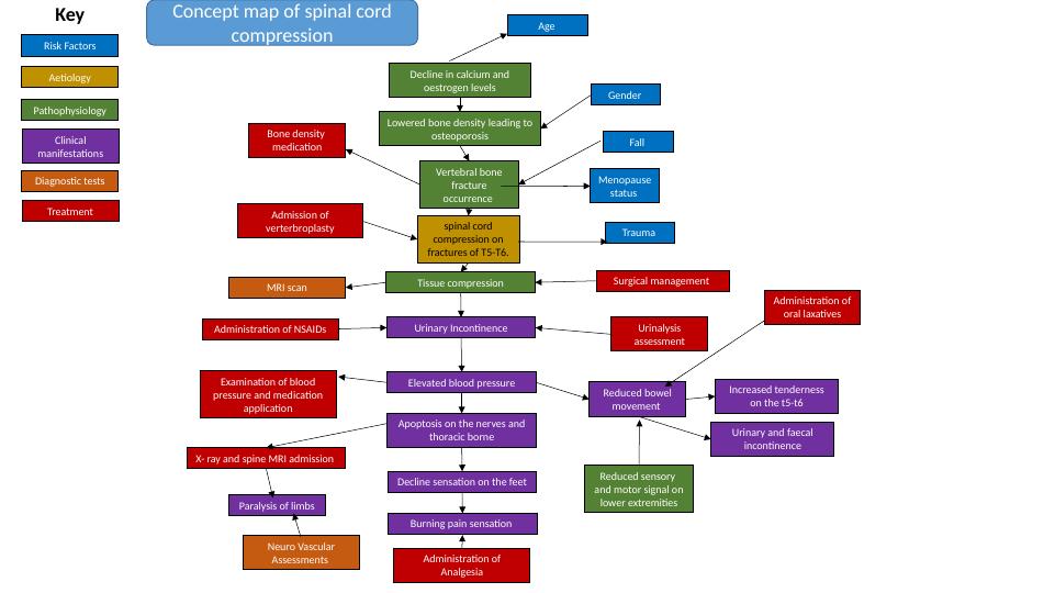 Spinal Cord Compression