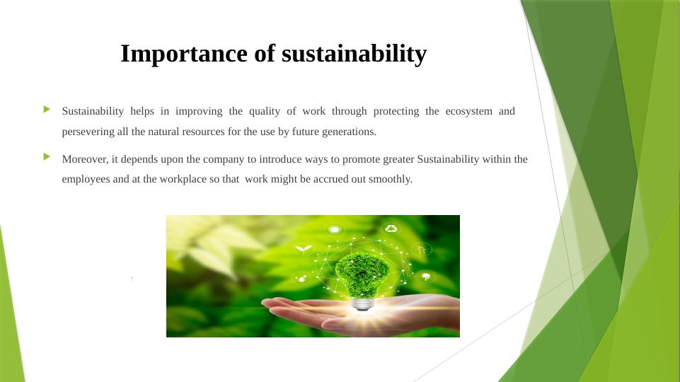 Sustainability Policy: Goals, Implementation, Monitoring