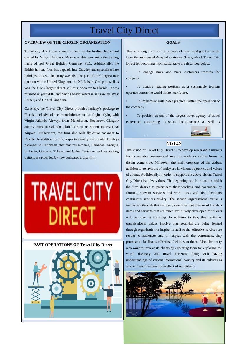 Travel City Direct: Operations, Goals & Plans - Case Study