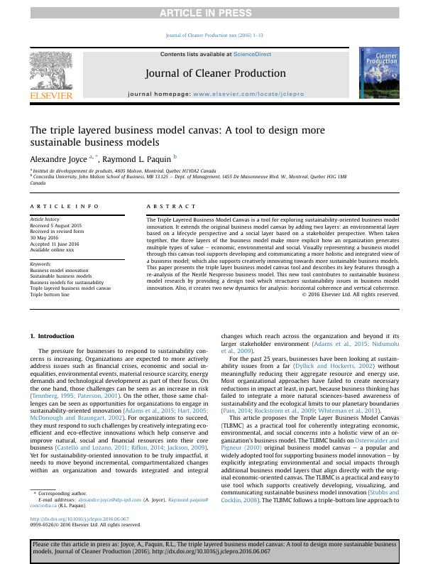Triple Layered Business Model Canvas A Business Model