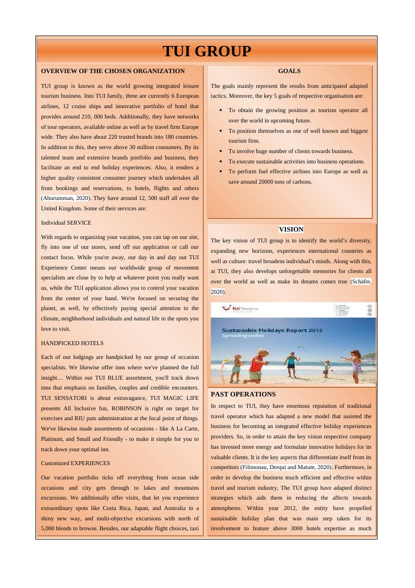 TUI Group: Goals, Operations, and Future - Case Analysis